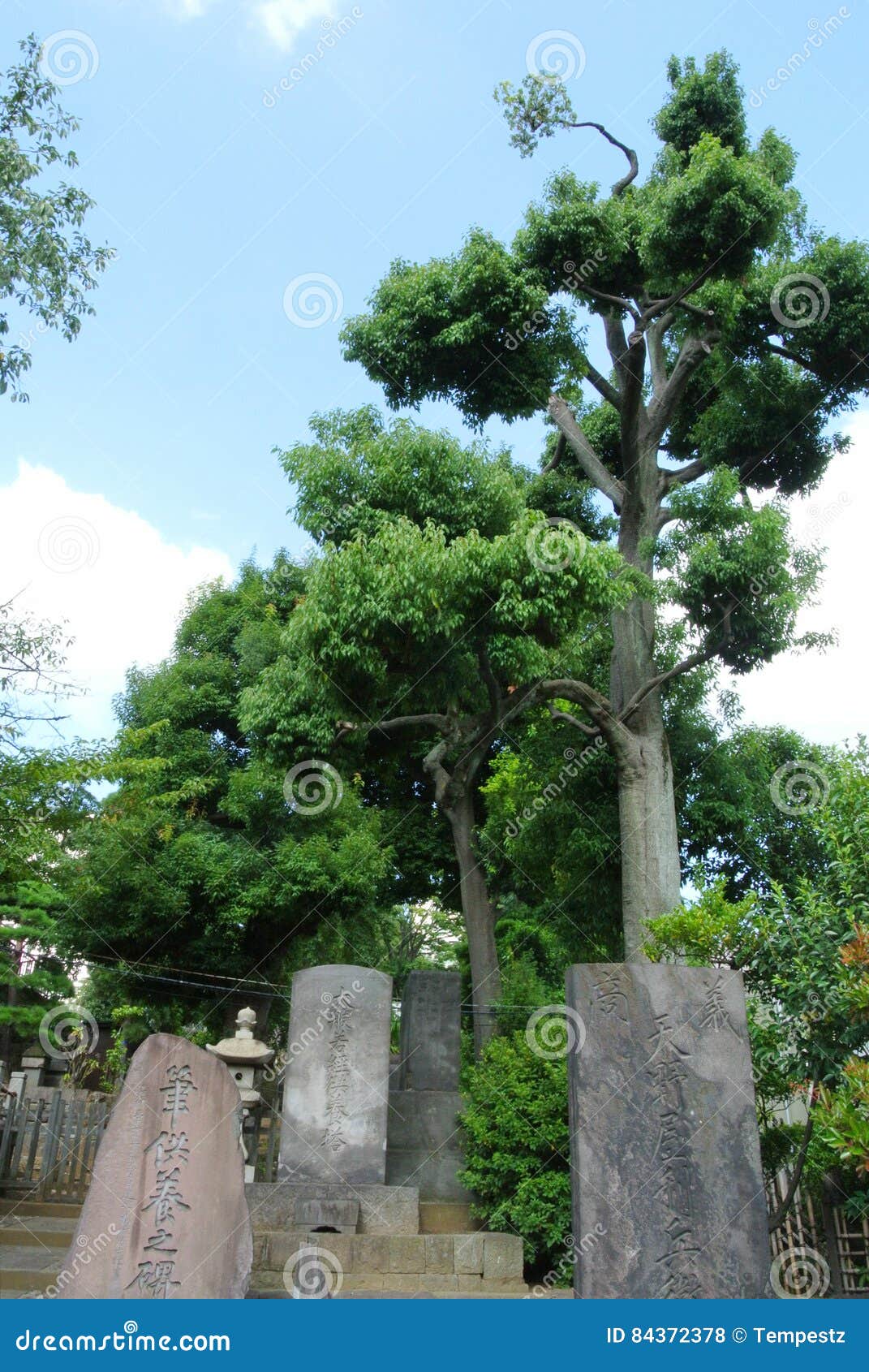 Templo de Sengaku-Ji foto de stock editorial. Imagem de japonês - 84372378