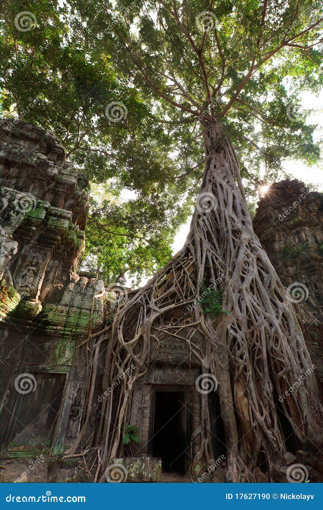 Templo de TA Prohm foto de archivo. Imagen de camboya - 17627190