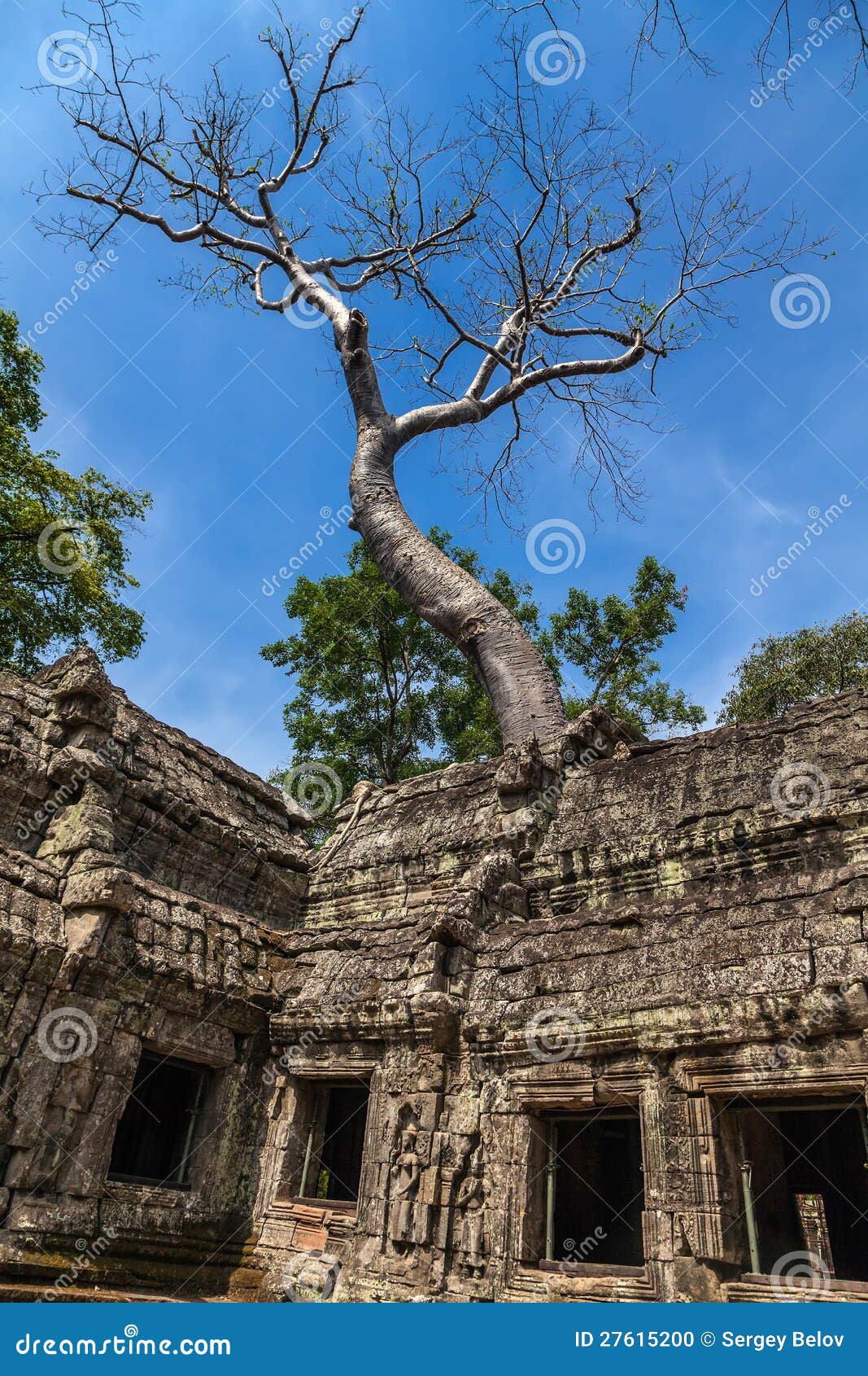 Templo de TA Prohm foto de archivo. Imagen de arte, edificio - 27615200