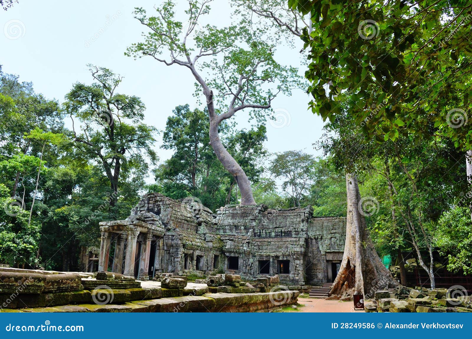 Templo de TA Prohm foto de archivo. Imagen de camboya - 28249586