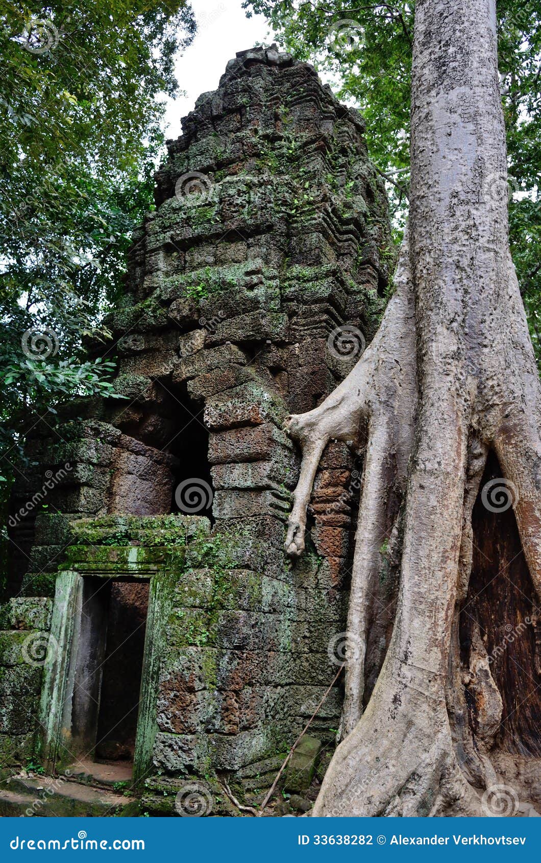 Templo de TA Prohm foto de archivo. Imagen de qué, coseche - 33638282
