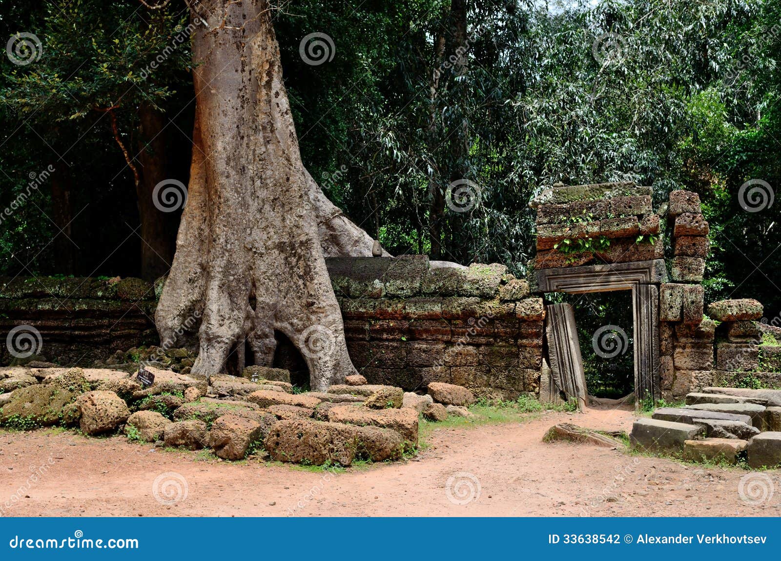 Templo de TA Prohm foto de archivo. Imagen de ruinas - 33638542