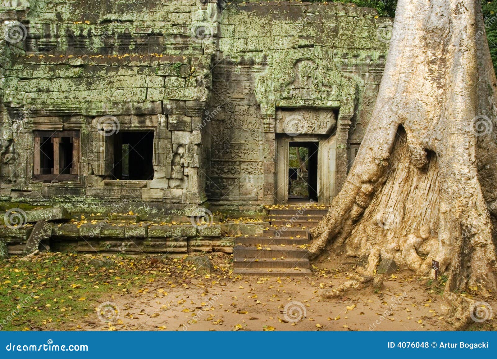 Templo de Ta Prohm foto de stock. Imagem de camboja, arquitetura - 4076048