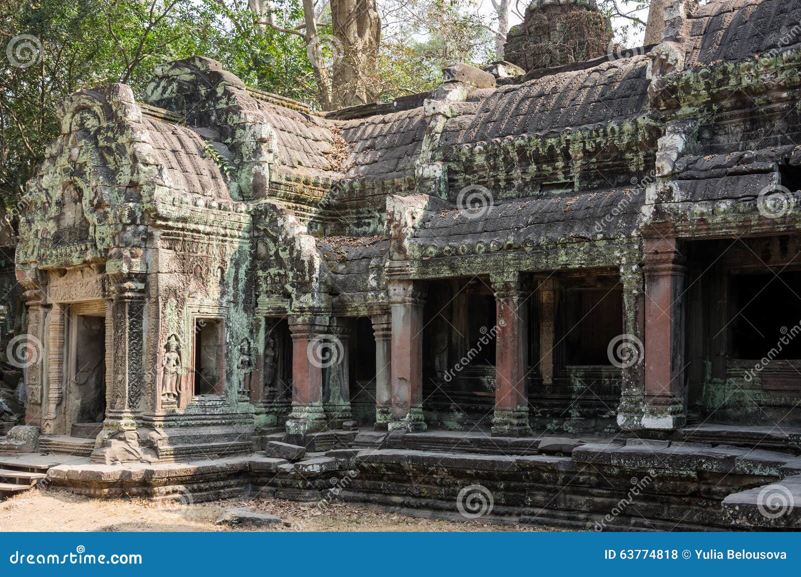 Templo de TA Prohm foto de archivo. Imagen de selva, coseche - 63774818