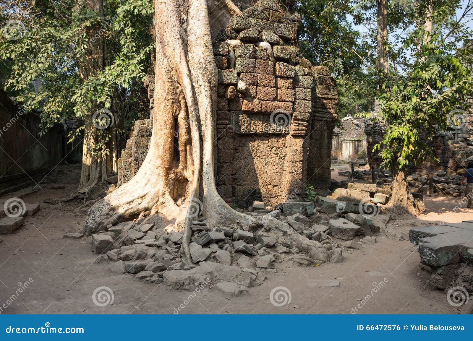 Templo de TA Prohm foto de archivo. Imagen de famoso - 66472576