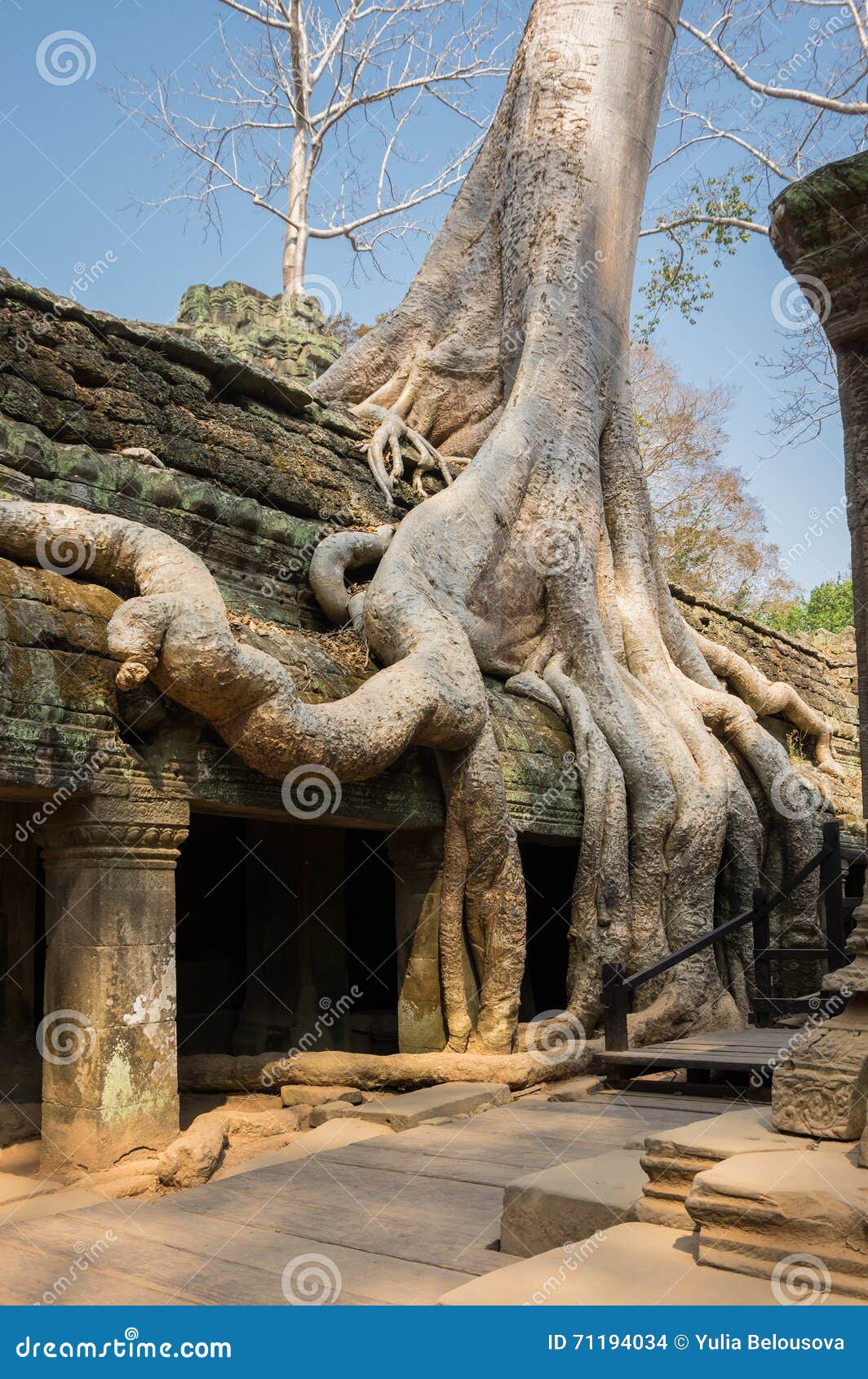 Templo de TA Prohm foto de archivo. Imagen de coseche - 71194034