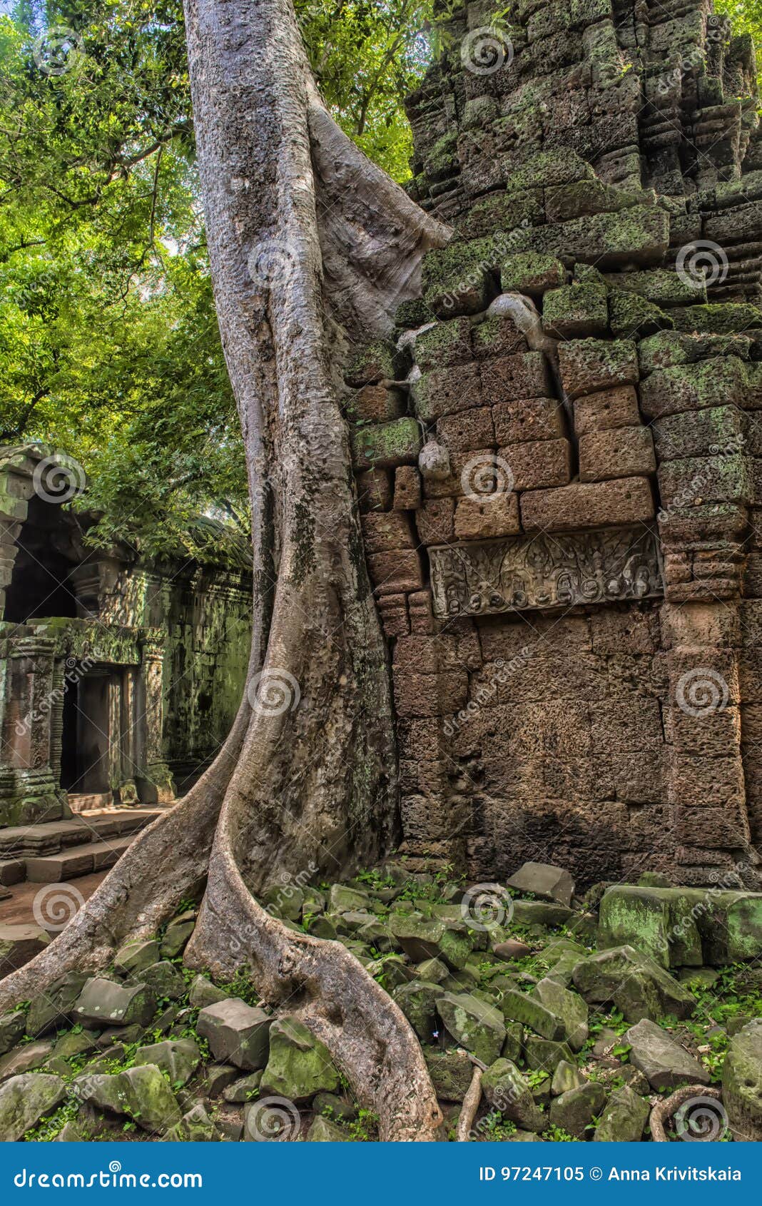 Templo de TA Prohm imagen de archivo. Imagen de camboya - 97247105