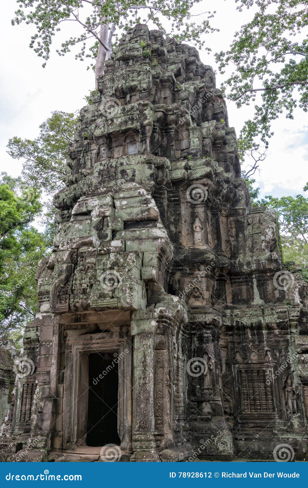 Templo De Ta Prohm, Angkor Wat, Cambodia Foto de Stock - Imagem de ...