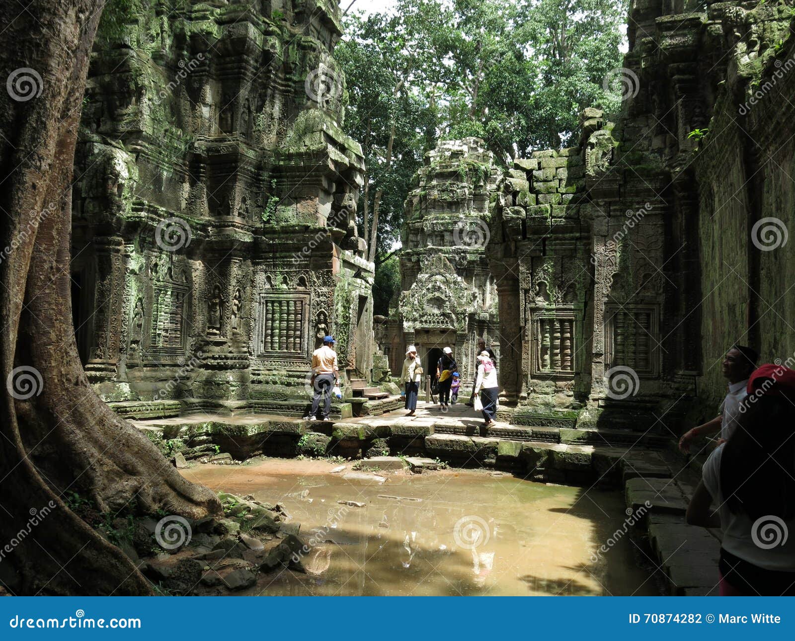 Templo De Ta Prohm, Cambodia Fotografia Editorial - Imagem de raizes ...