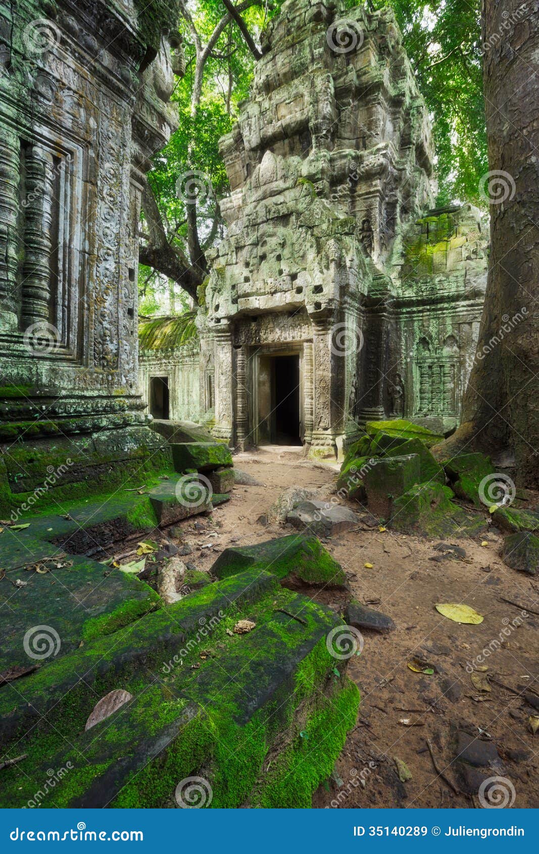 Templo De TA Prohm, Camboya Imagen de archivo - Imagen de planta ...