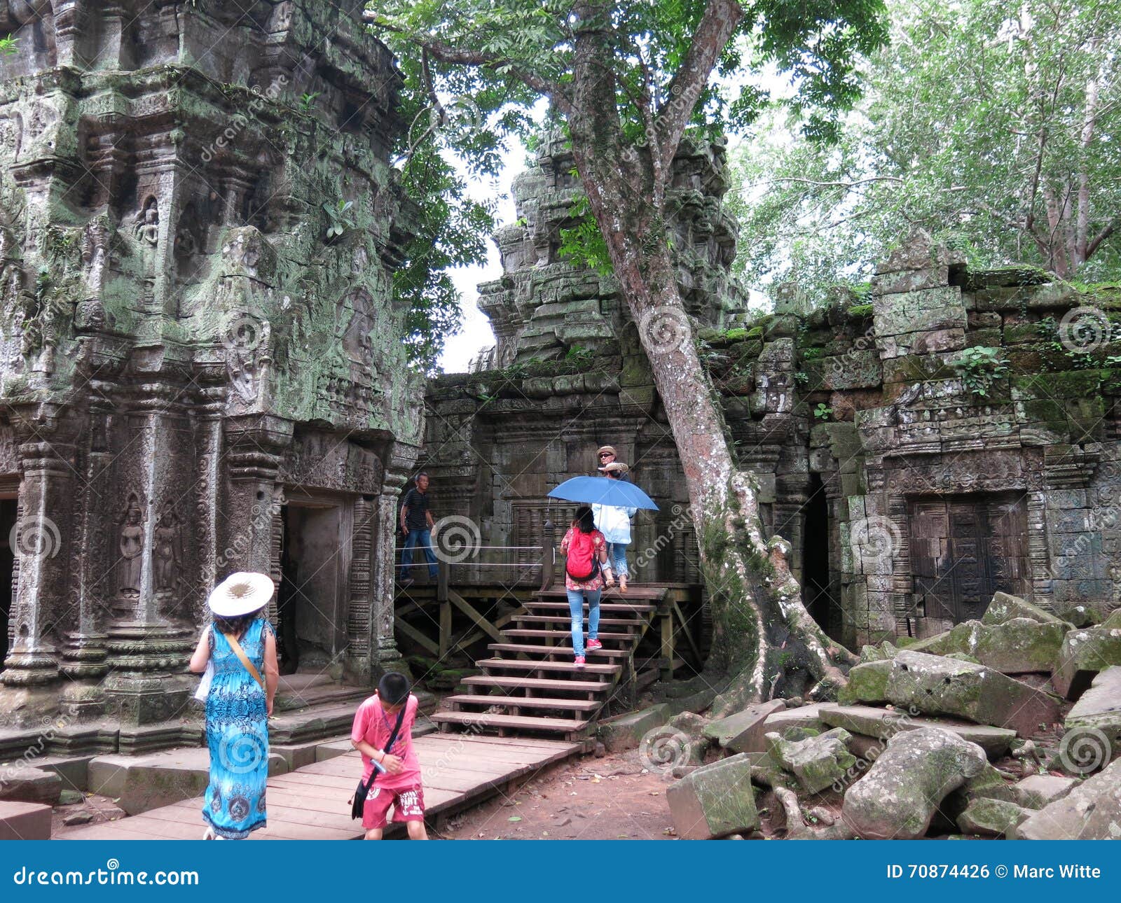 Templo De TA Prohm, Camboya Foto editorial - Imagen de coseche, angkor ...