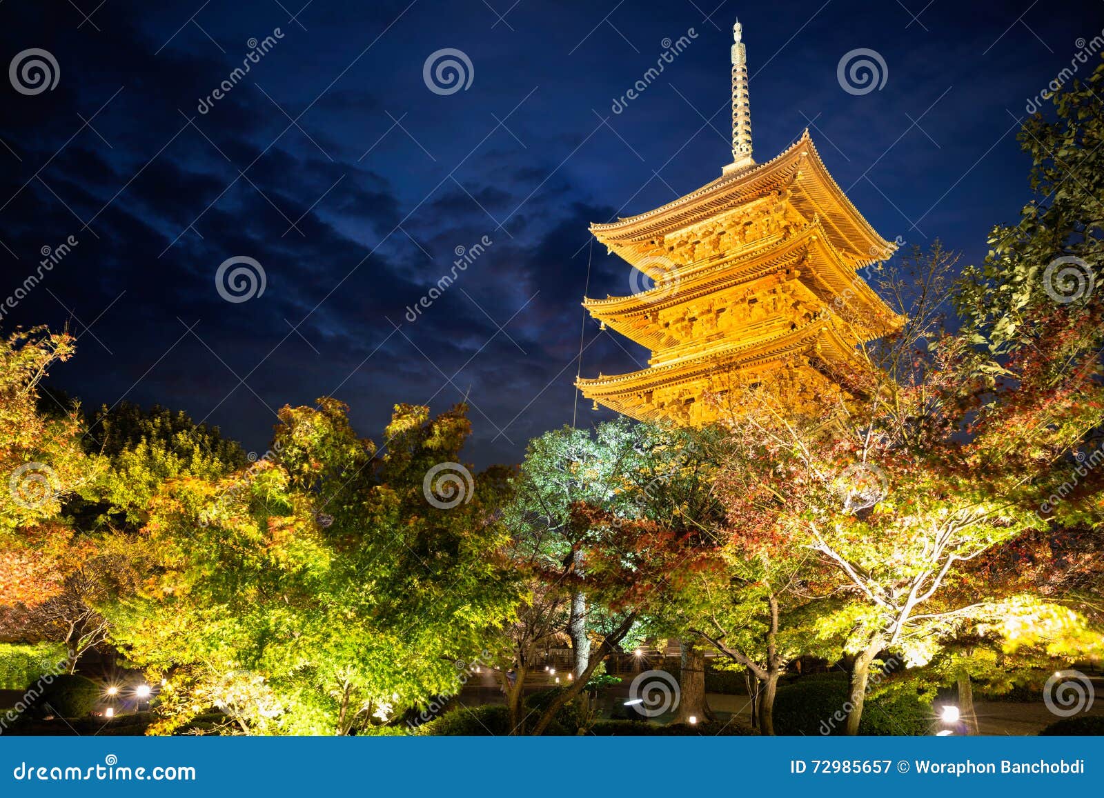 Templo de Toji imagem de stock. Imagem de cereja, sazonal - 72985657