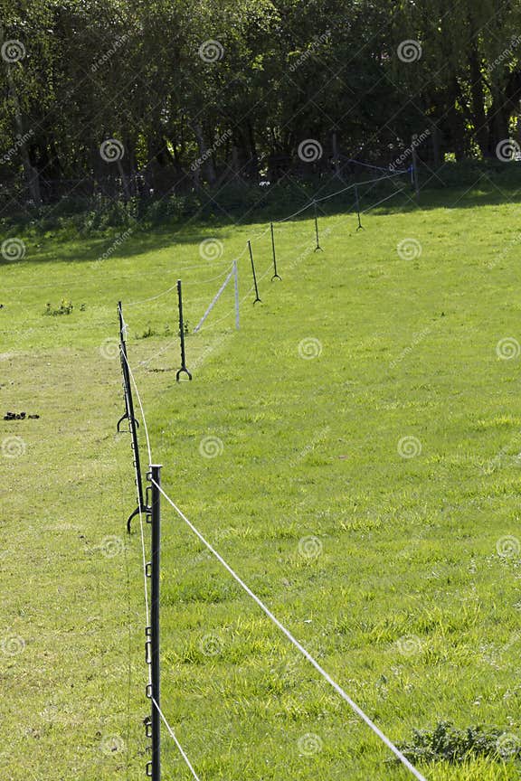 Temporary paddock fencing stock photo. Image of boundaries - 51286186