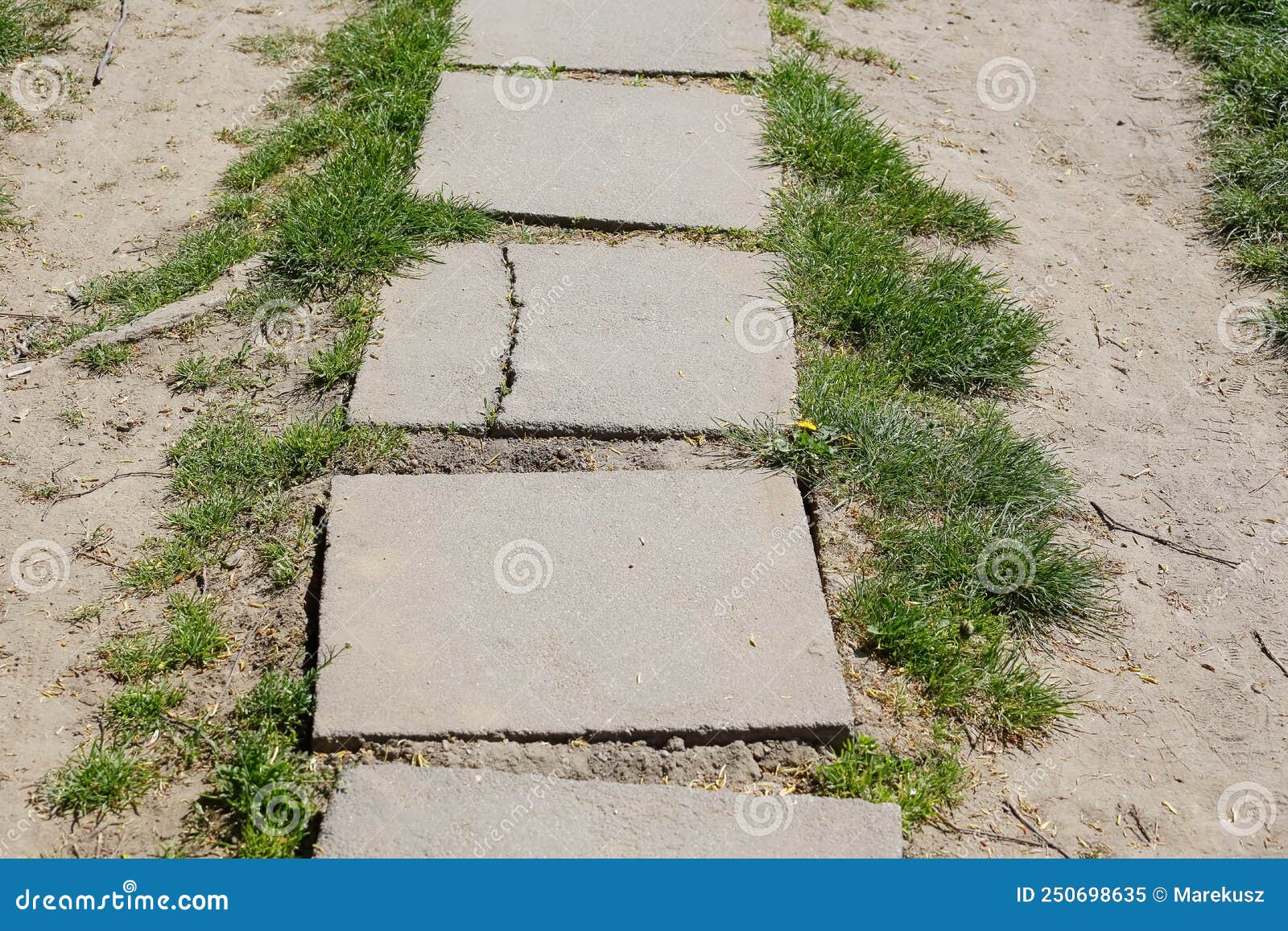 Temporary Walkway through the Lawn Stock Image - Image of surface ...