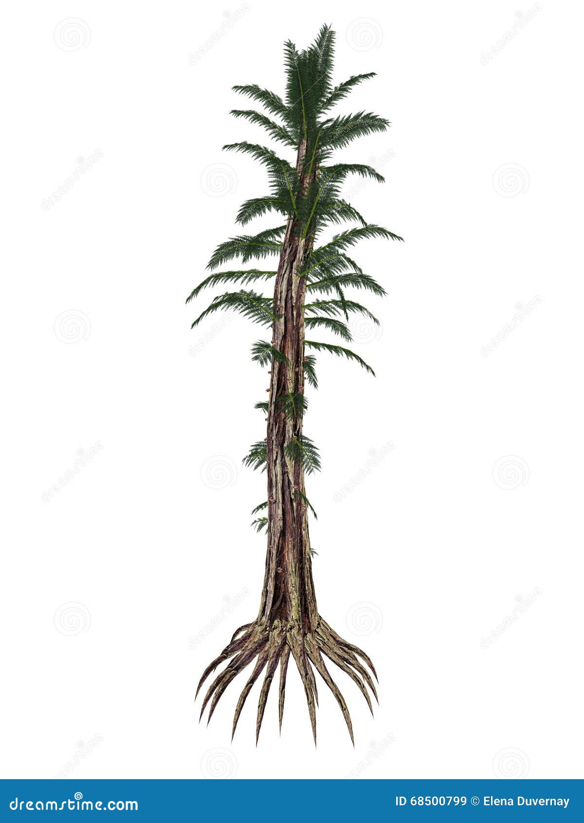 Tempskya Prehistoric Tree Fern - 3D Render Stock Illustration ...