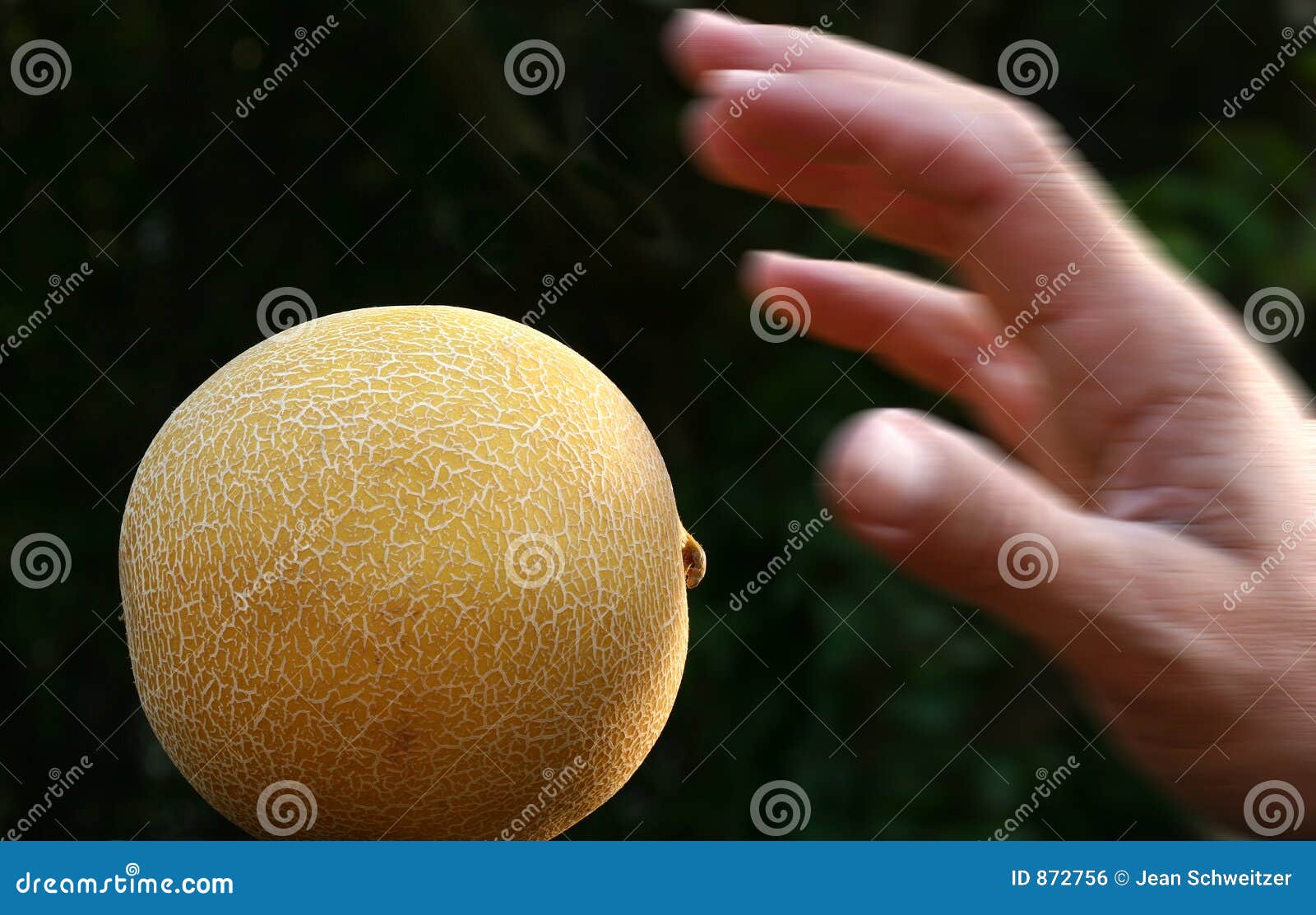 Temptation Picture. Image: 872756