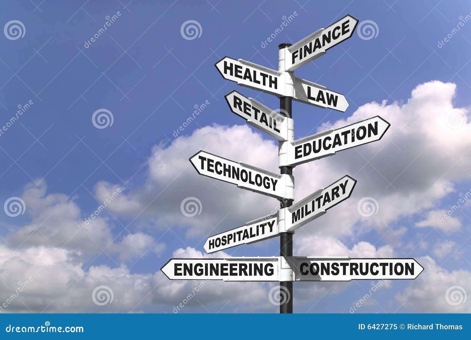 Different Career Paths Different Career Paths