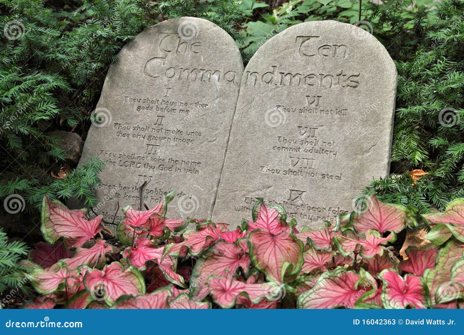 The Ten Commandments stock image. Image of vegetation - 16042363