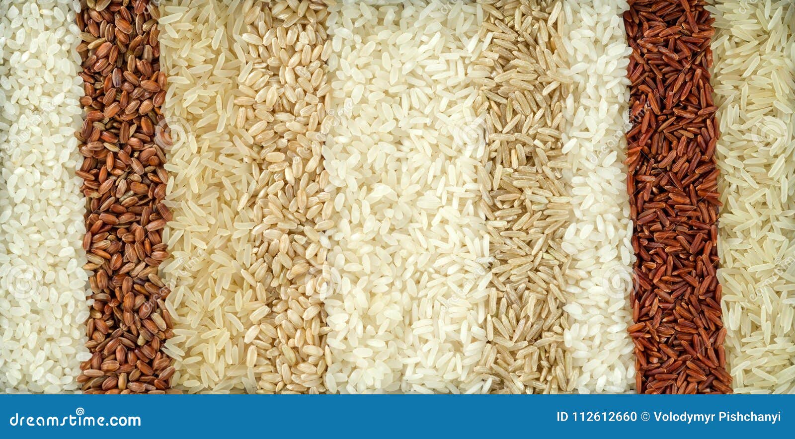 Ten Different Varieties of Rice Stock Photo - Image of alimentary ...