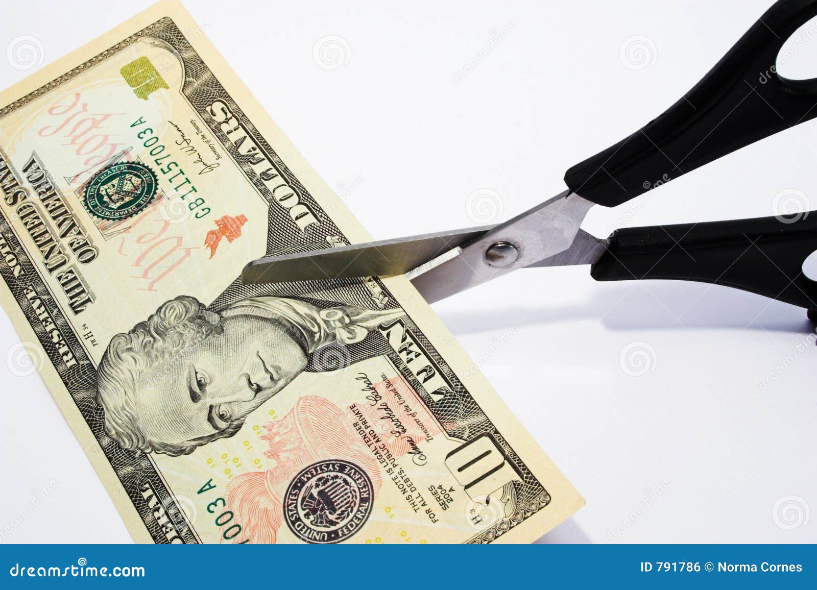 Ten dollar cut stock photo. Image of studio, market, devaluation - 791786