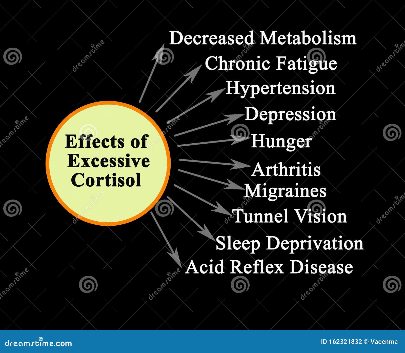 Effects of Excessive Cortisol Stock Illustration - Illustration of ...