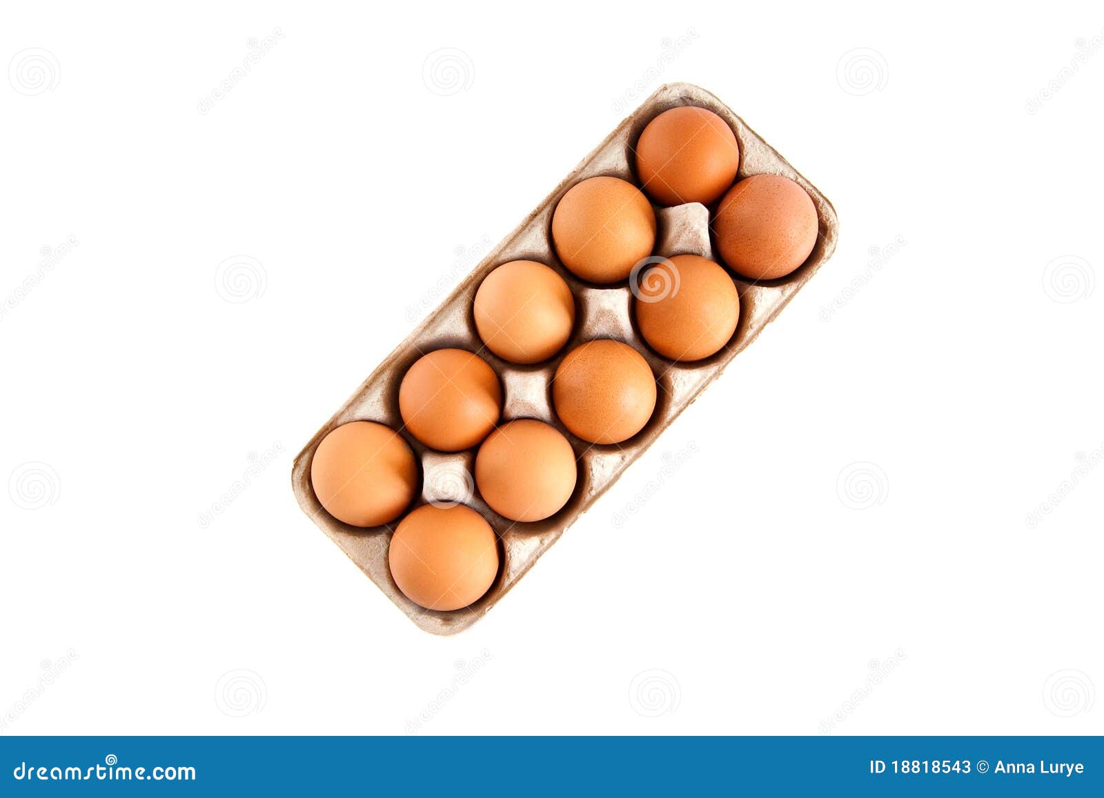 Ten Eggs stock image. Image of ingredient, white, animal - 18818543