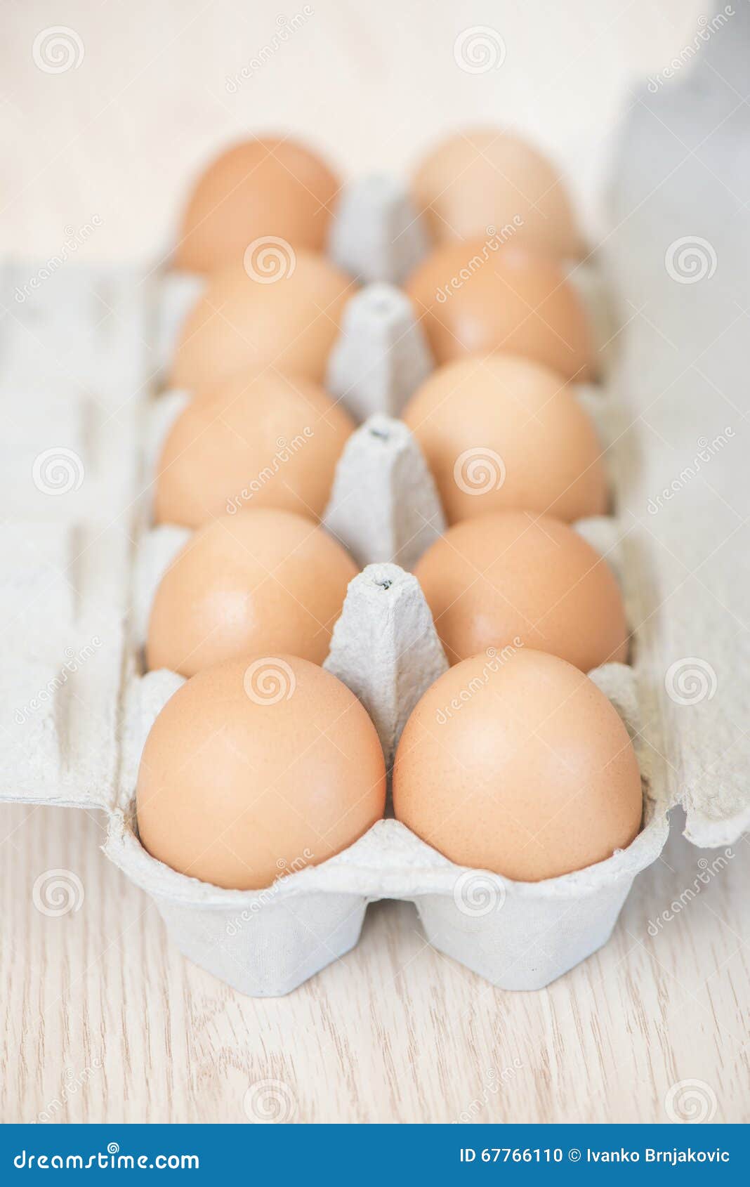 Ten eggs in carton stock photo. Image of groceries, healthy - 67766110