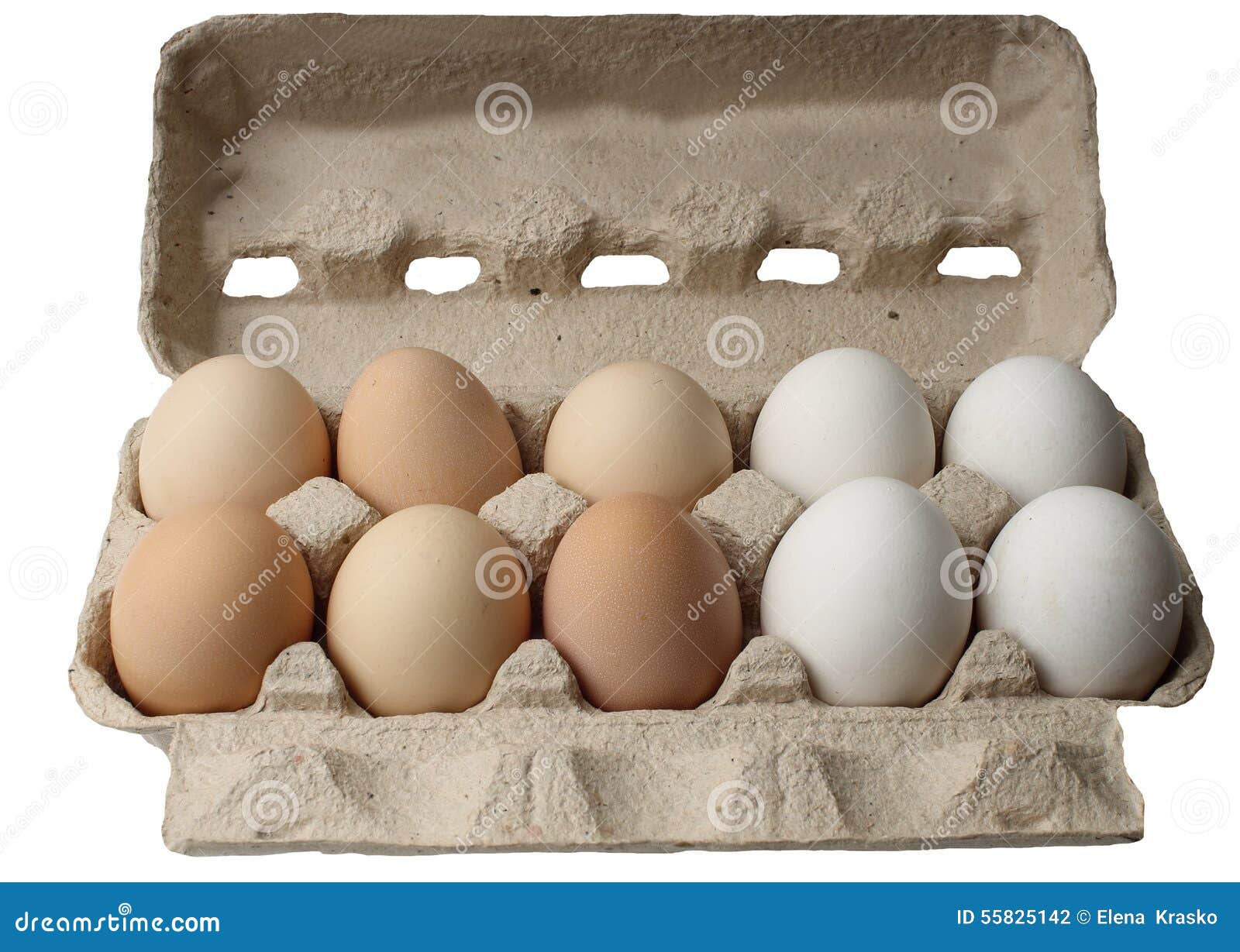Ten eggs isolated on white stock photo. Image of background - 55825142