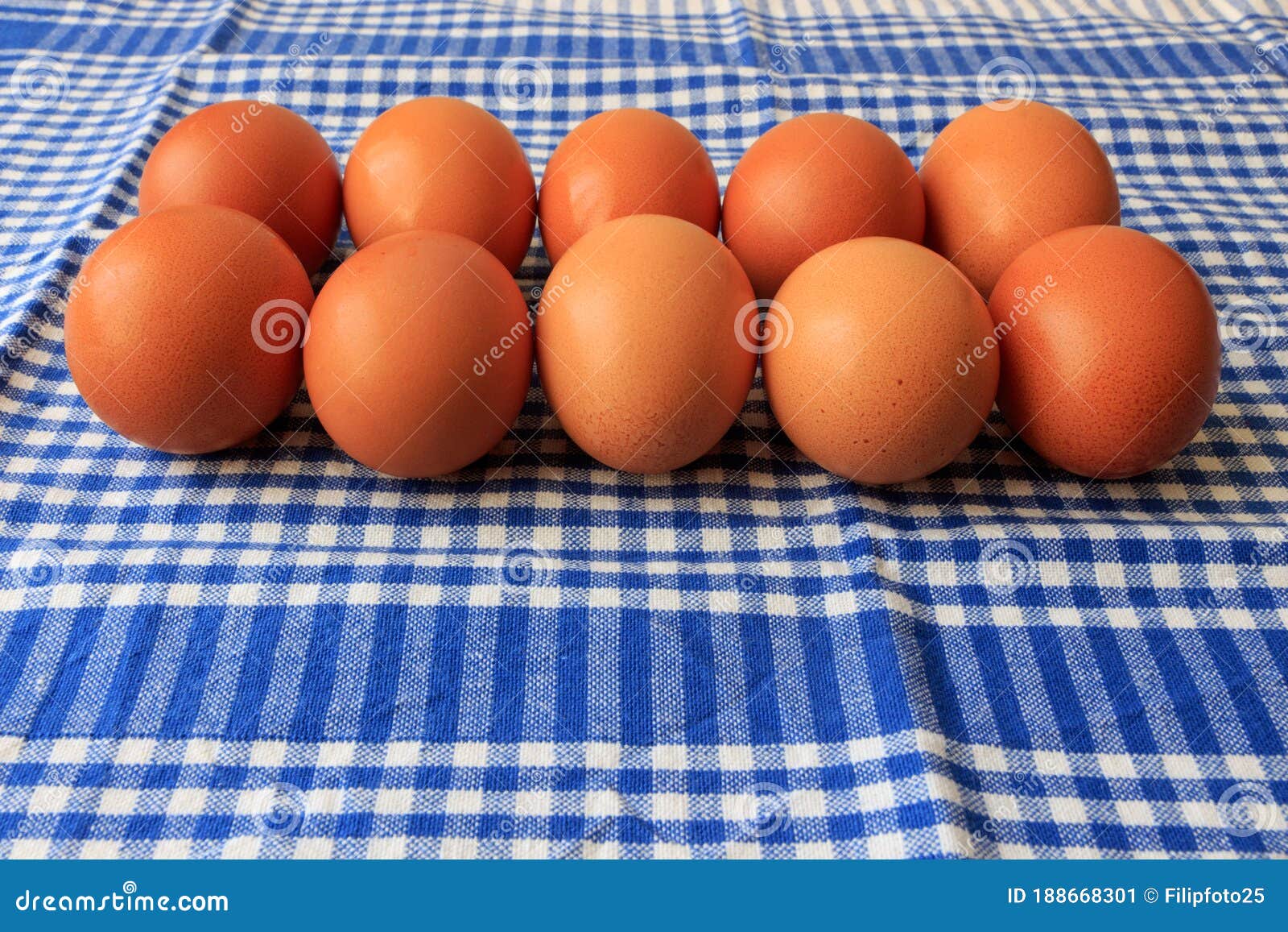 Ten eggs in a row stock image. Image of brown, dozen - 188668301