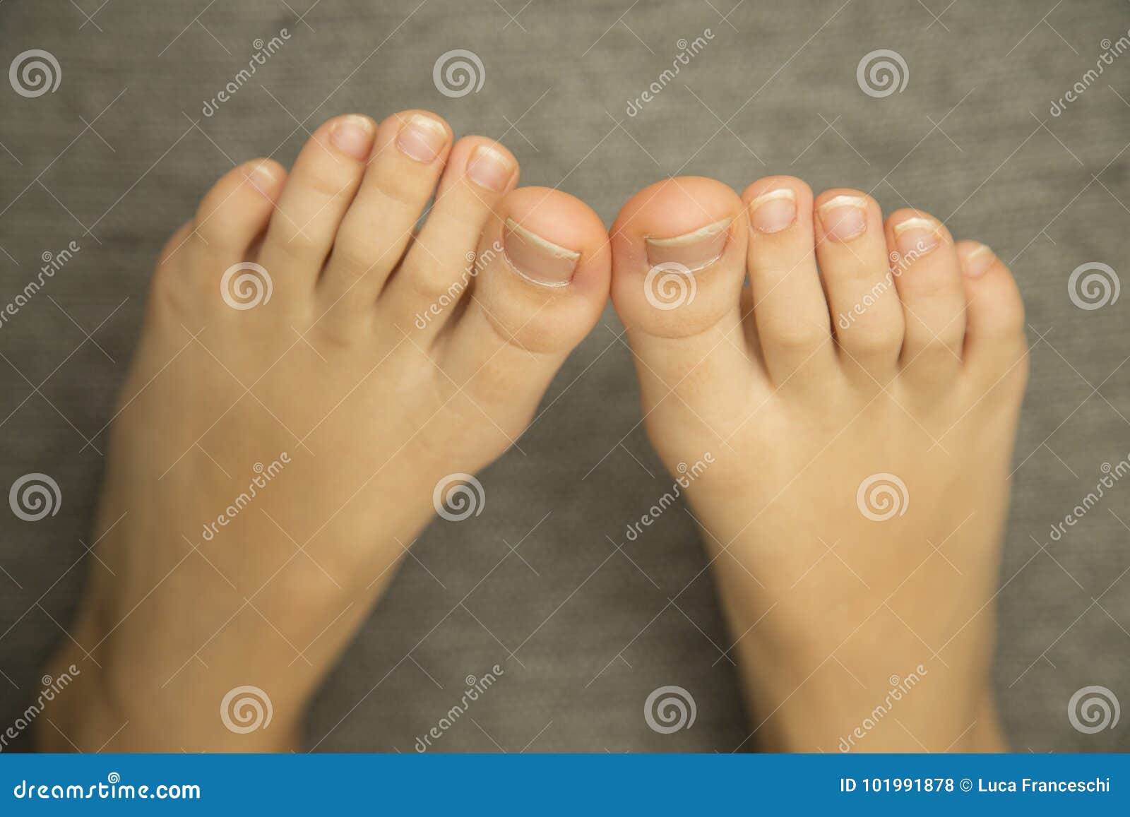 Feet stock photo. Image of body, closeup, female, clean - 101991878