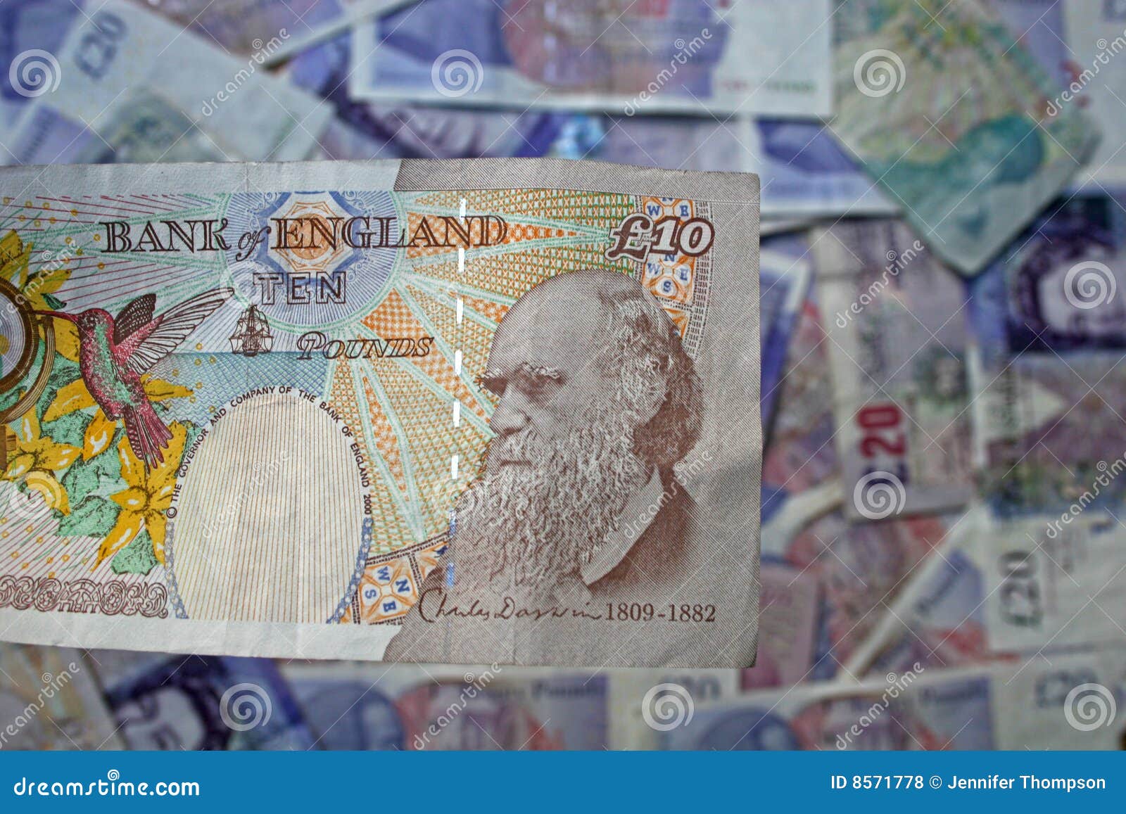 Ten Pound Note Picture. Image: 8571778