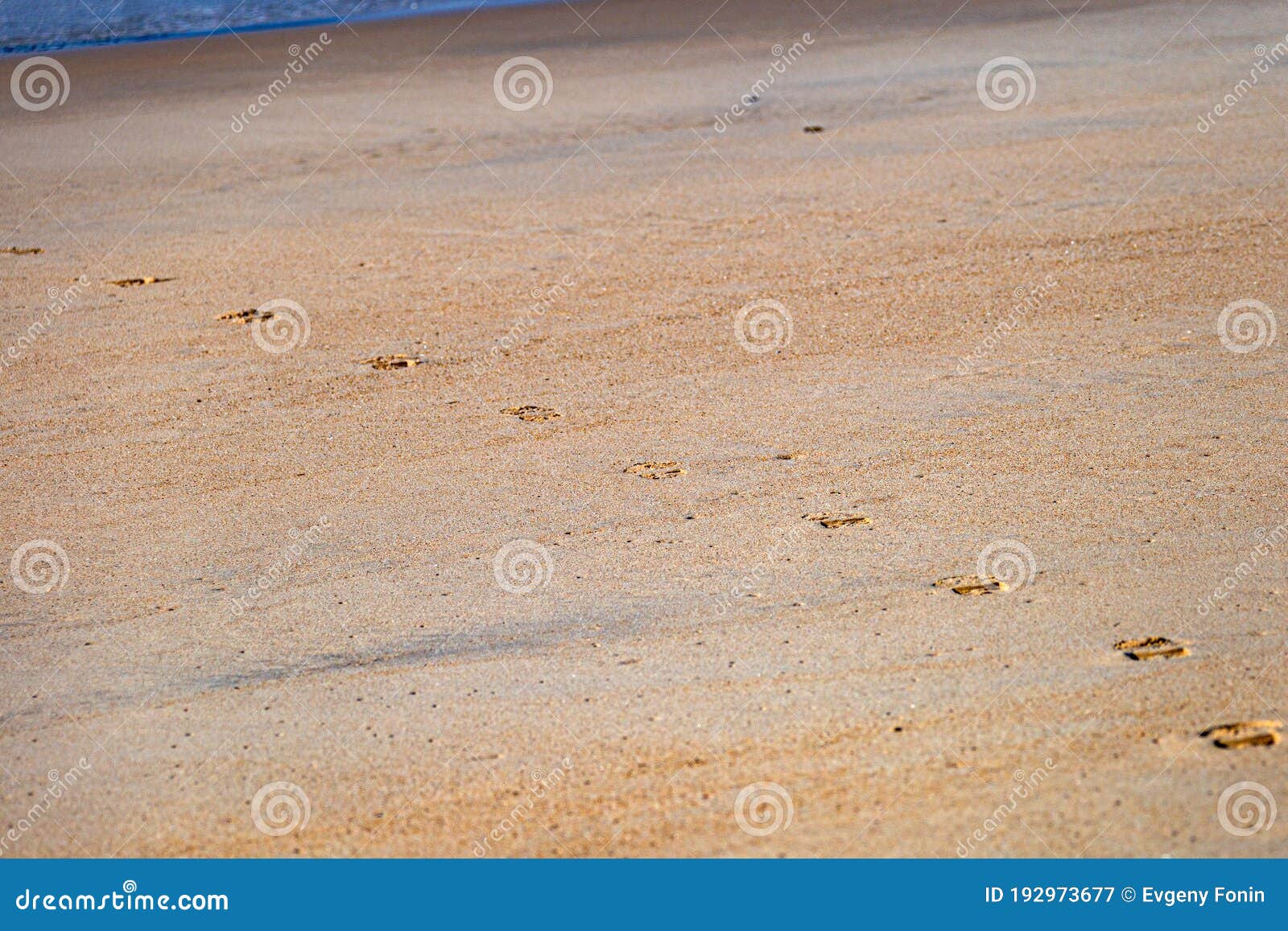 Ten steps to the ocean stock image. Image of sand, step - 192973677