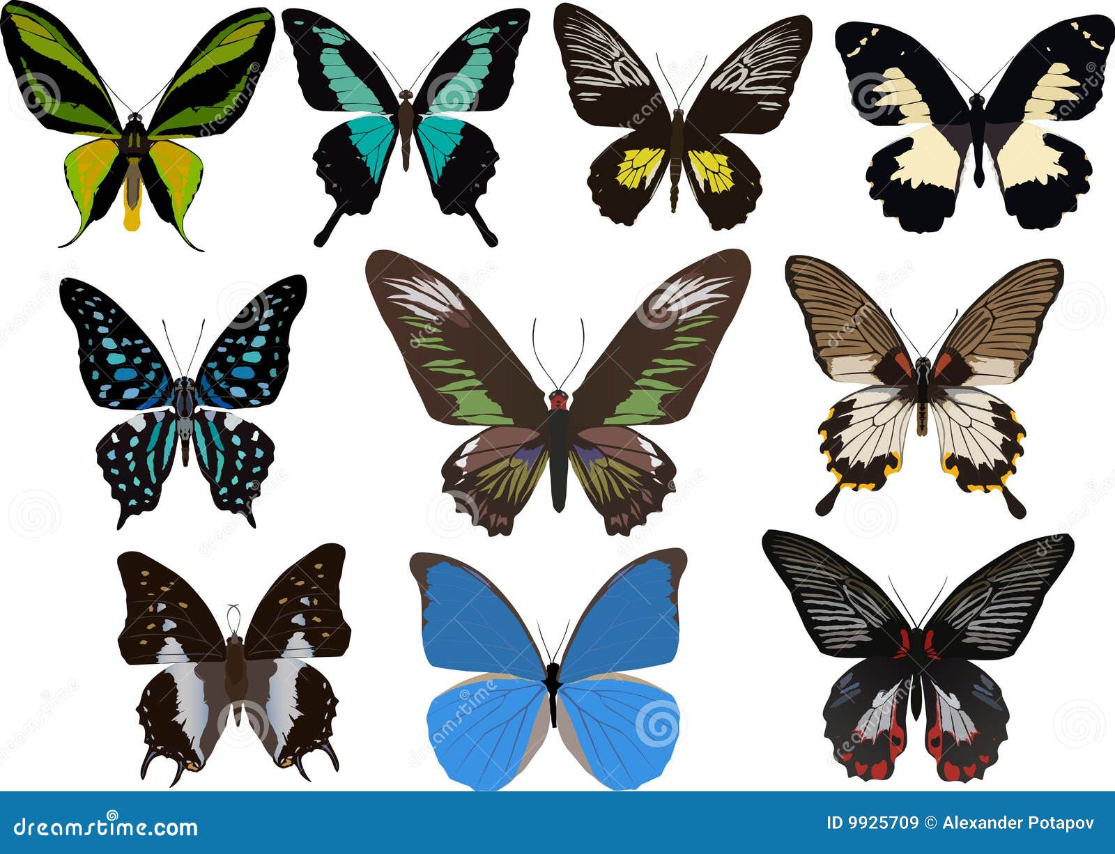 Ten tropical butterflies stock illustration. Illustration of butterfly ...