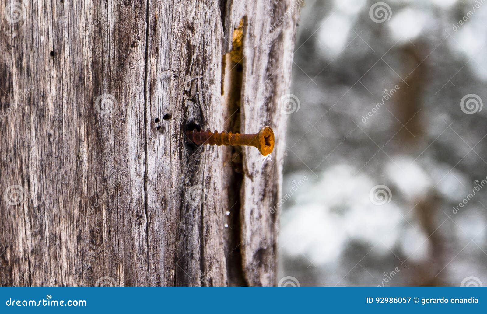 Tenacidad imagen de archivo. Imagen de persistencia, tenacidad - 92986057