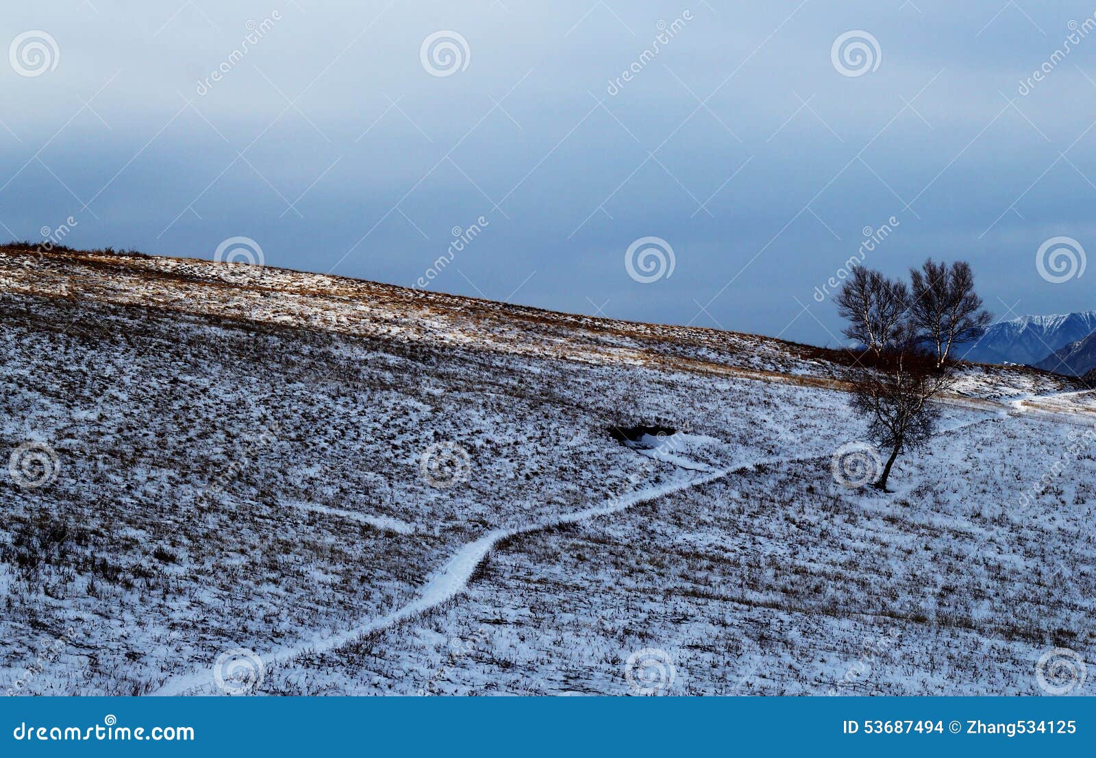 Tenacious of life stock photo. Image of plant, growing - 53687494