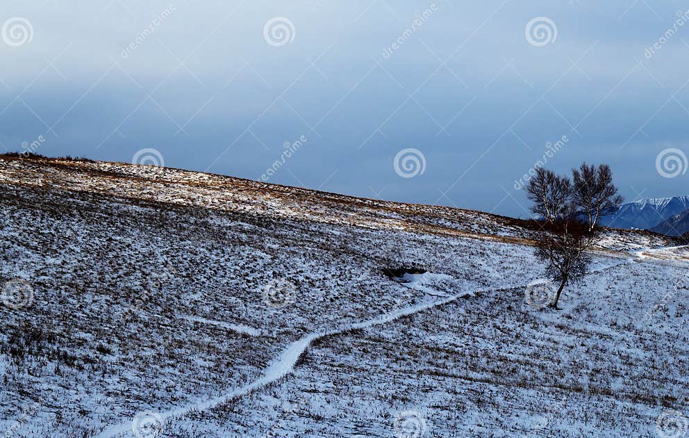 Tenacious of life stock photo. Image of plant, growing - 53687494