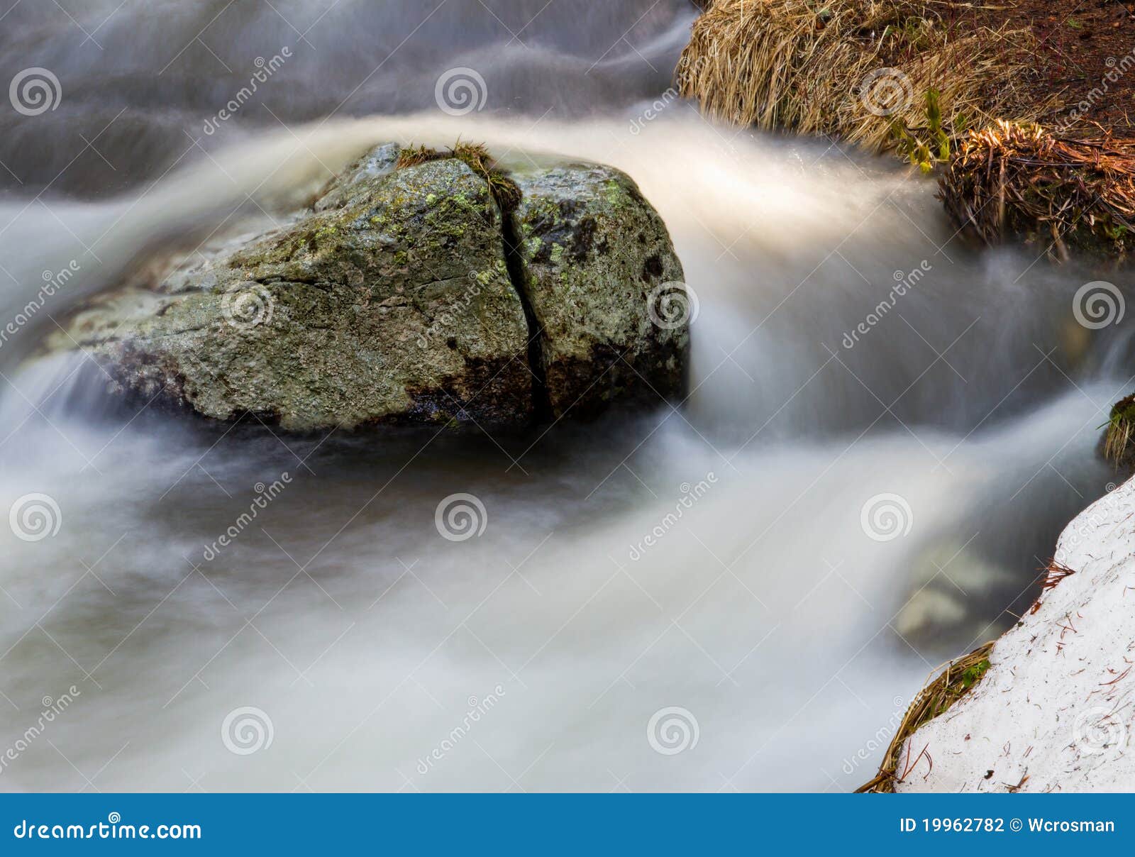 Tenacity stock photo. Image of boulder, stone, lichen - 19962782
