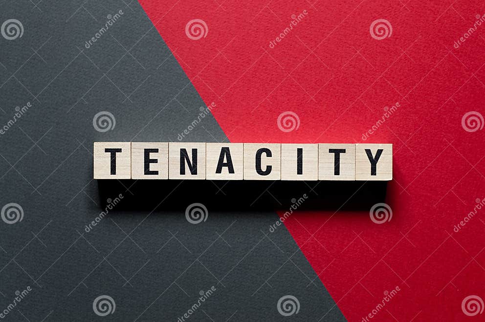 Tenacity Word Concept on Cubes Stock Image - Image of daring, gallantry ...