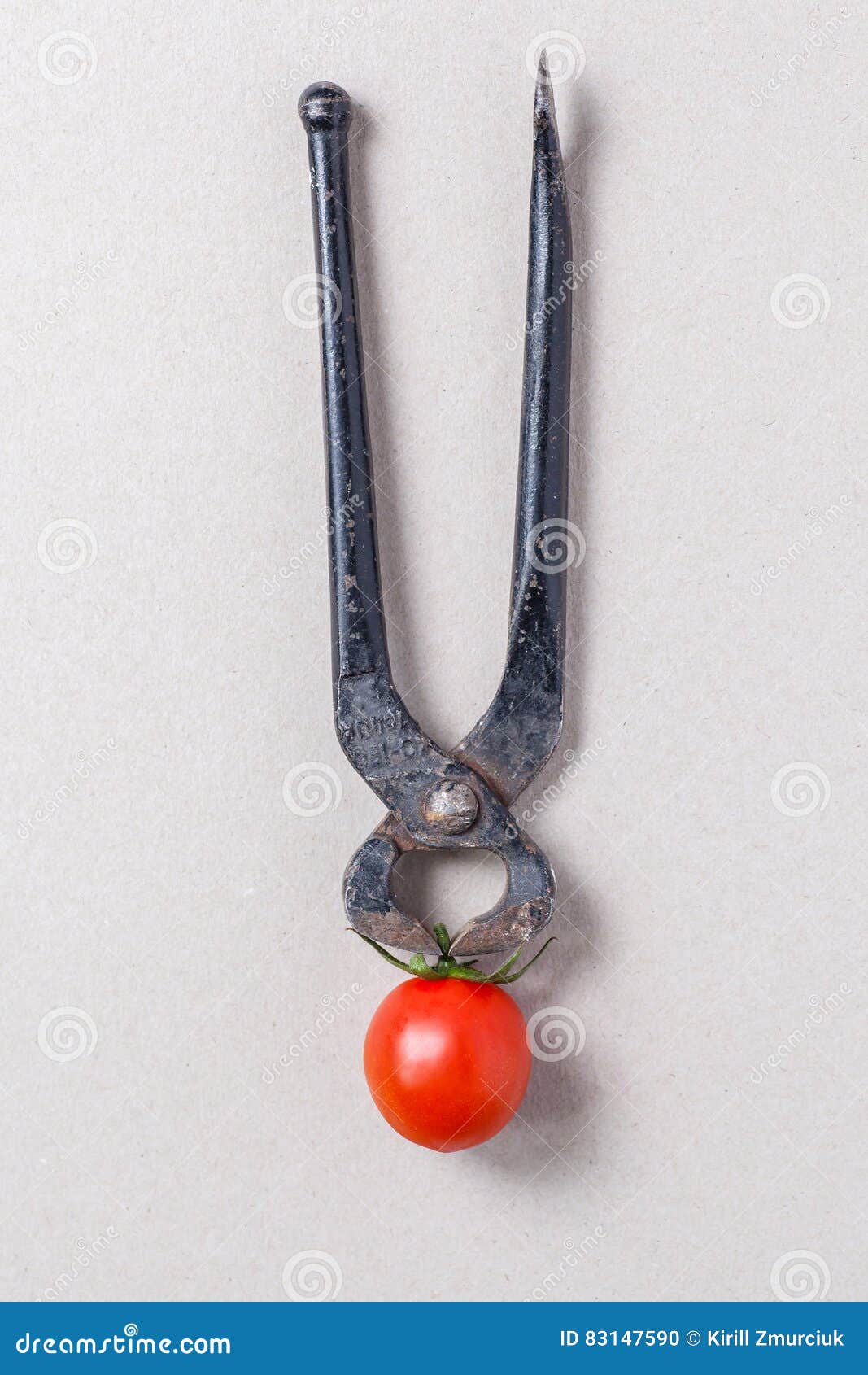 Tenazes De Brasa E Tomate De Cereja Foto de Stock - Imagem de metal ...