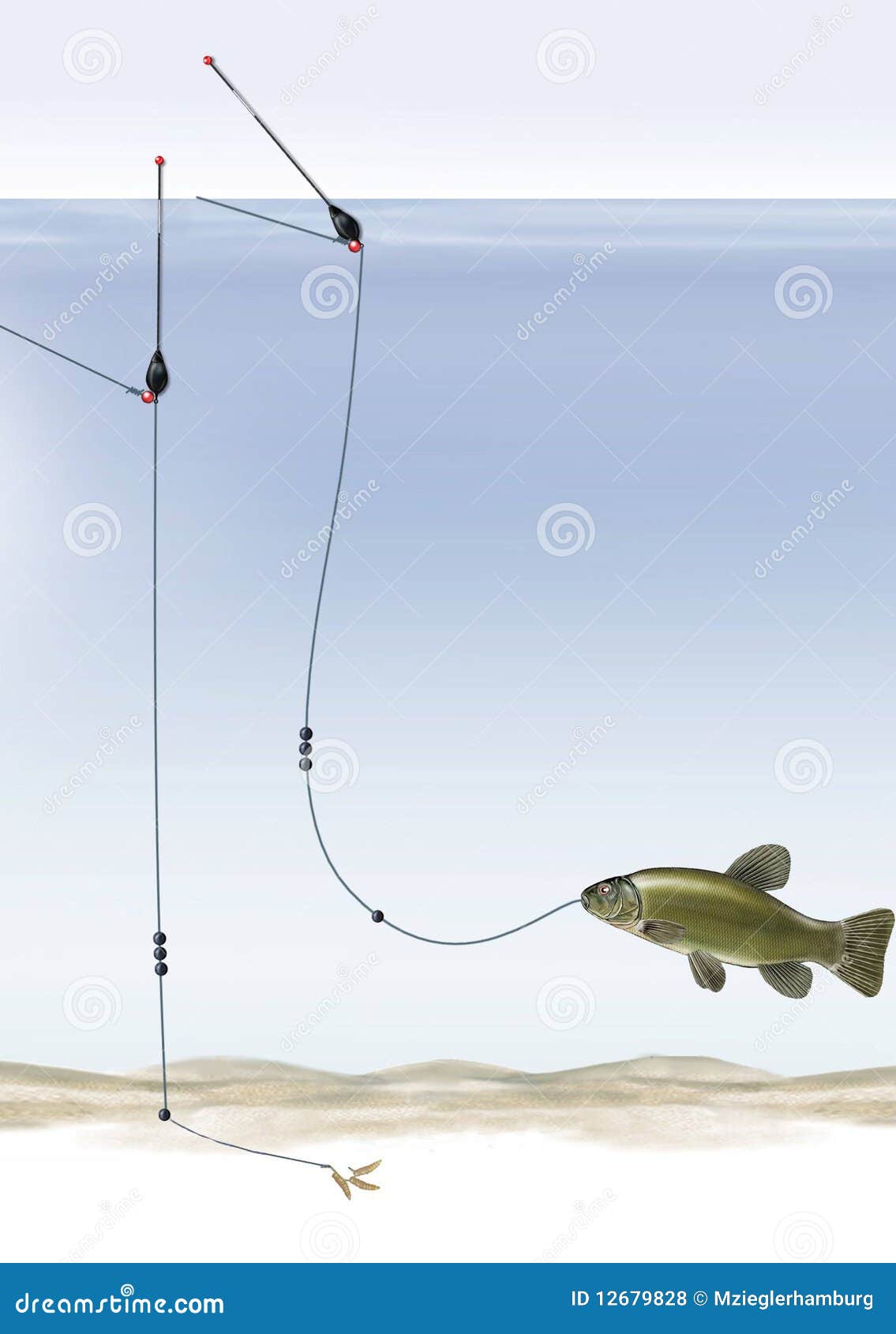 Float Fishing For Tench Rigs at Janis Clayson blog