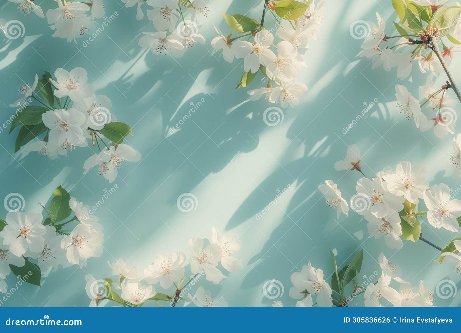Tender Blooming Branches of an Apple Tree in the Sun S Rays on a Blue ...
