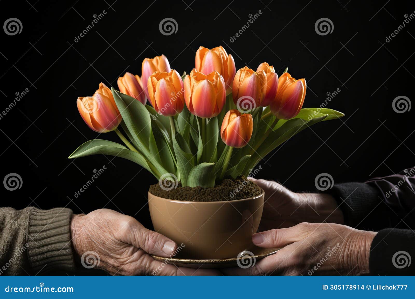 Adoration Tender Emotion Girl Press Hands Heart Stock Photography ...