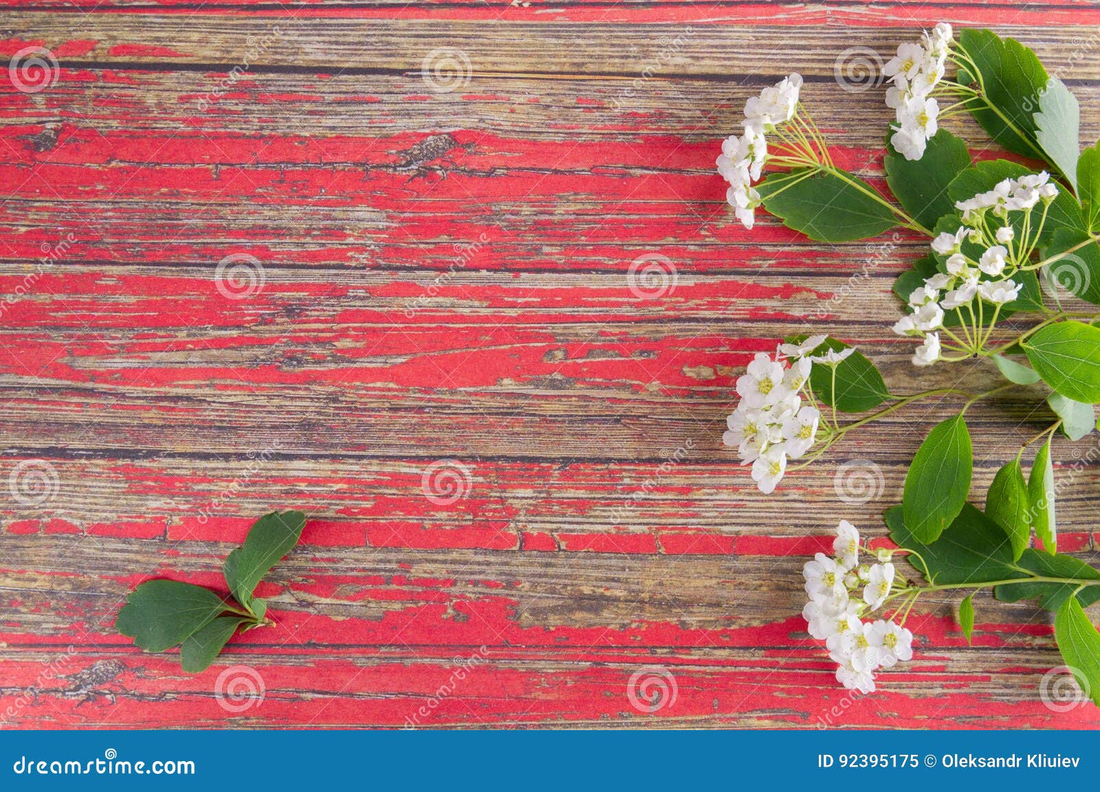 Tender Inflorescences of Fruit Trees Stock Image - Image of gardening ...