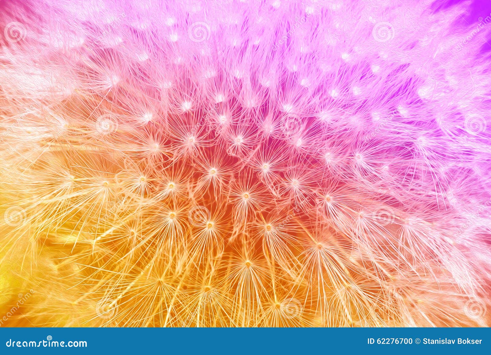 13,528 Gradient Flower Stock Photos - Free & Royalty-Free Stock Photos ...