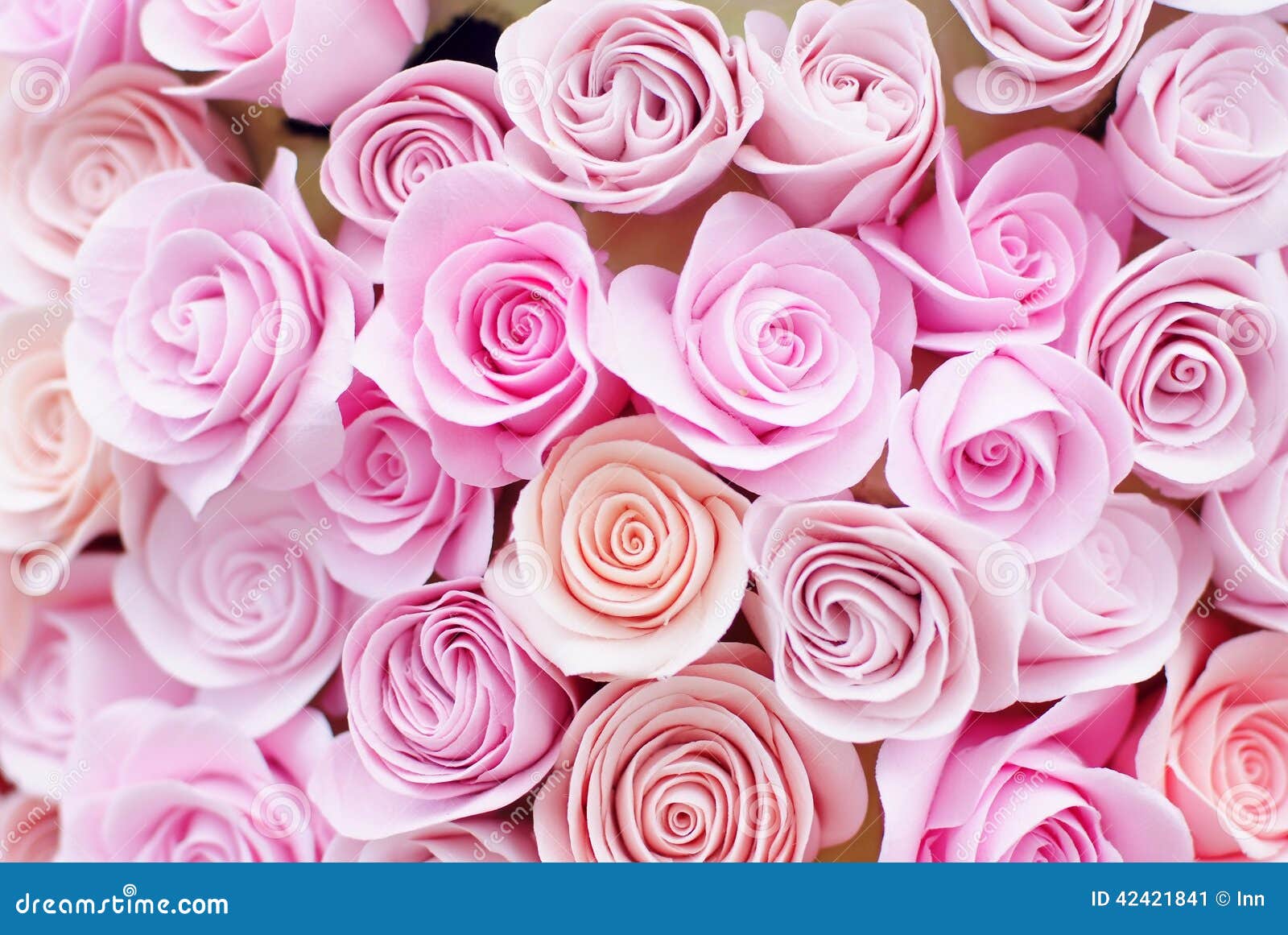 Tender Pink Rose Background Stock Image - Image of backdrop, natural ...