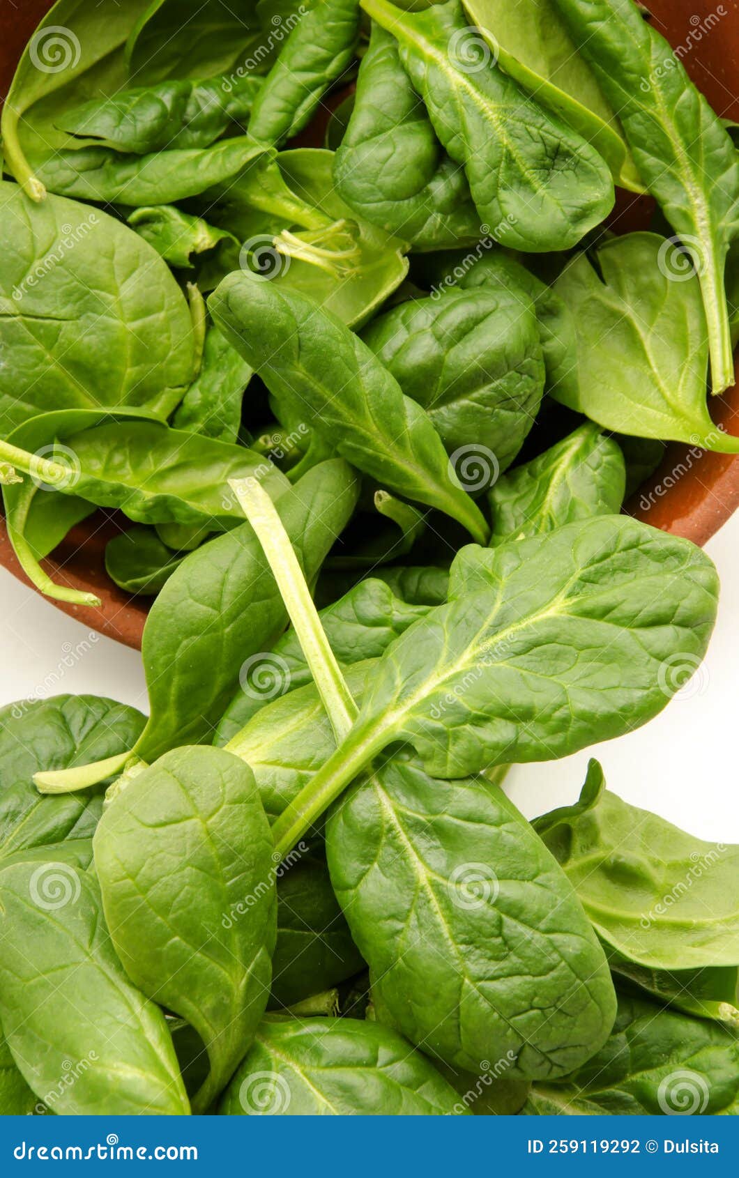 Vegetables fresh spinach stock photo. Image of dining - 259119292