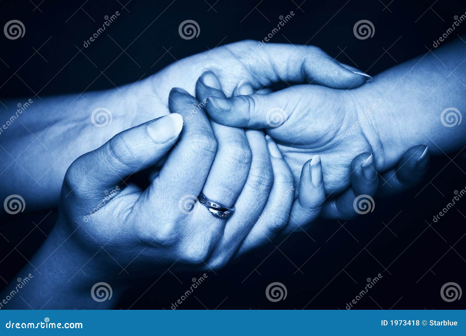 Tender touch stock photo. Image of protecting, touch, sensitive - 1973418