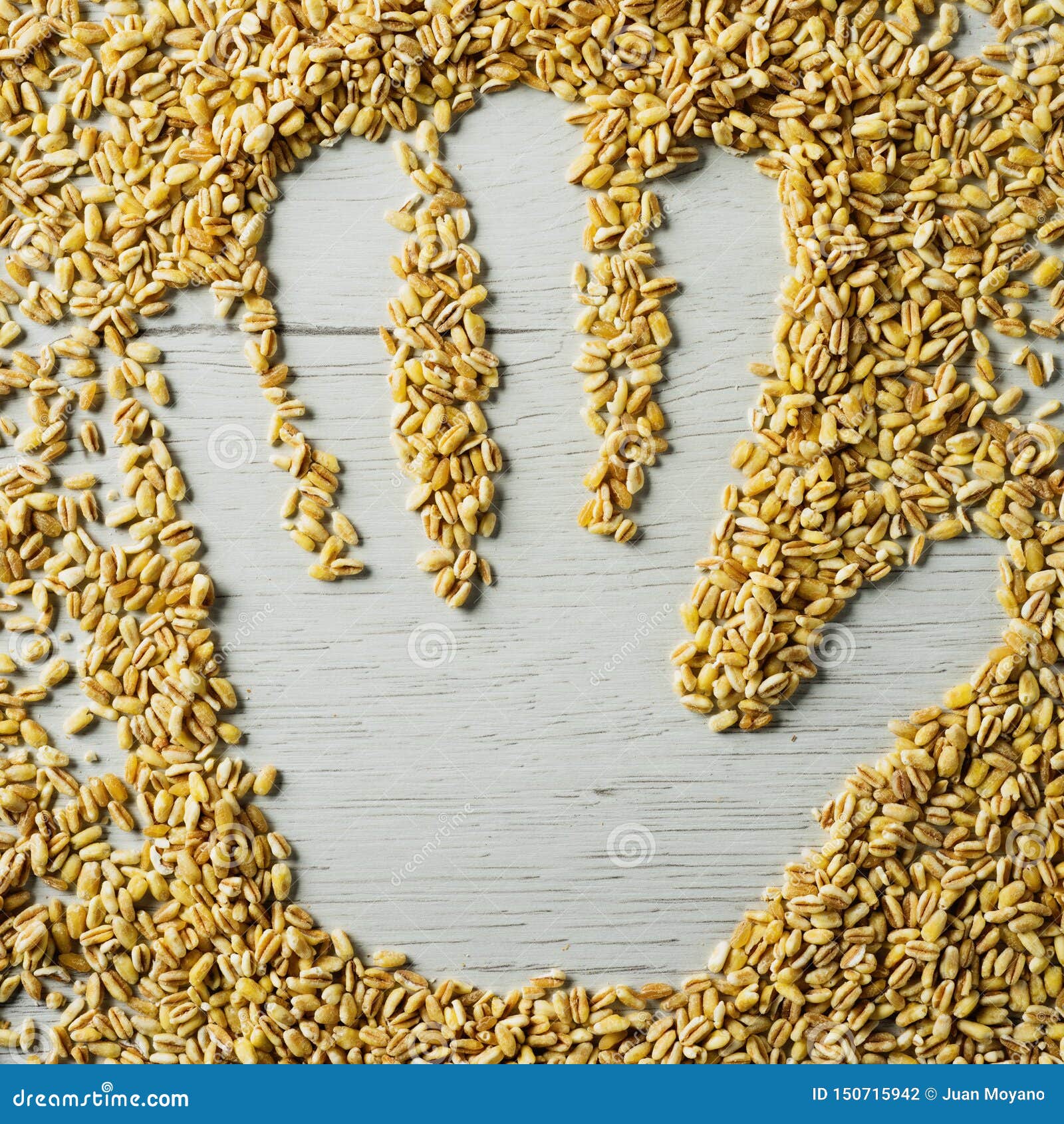 Tender wheat kernels stock photo. Image of culinary - 150715942