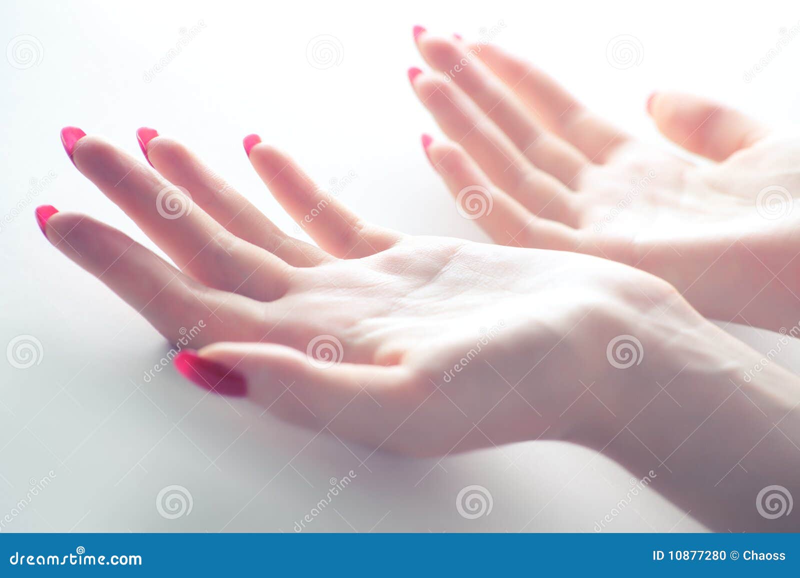 Tender woman hands stock photo. Image of bright, girl - 10877280