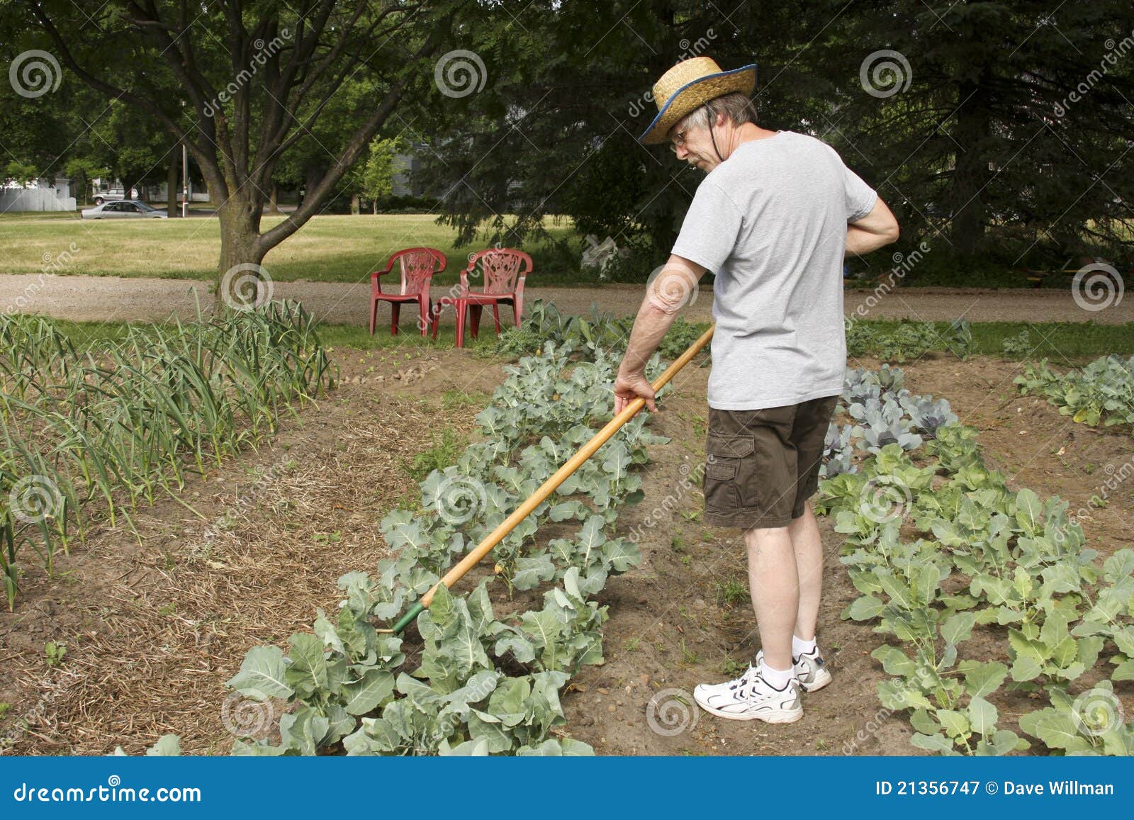 Tending the garden stock image. Image of plants, summer - 21356747